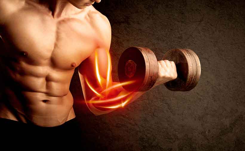 DBal Max UK Review: Legal Steroid for Muscle Building Like Dianabol